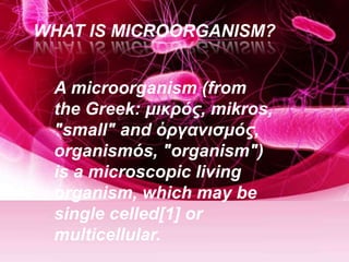 Microorganisms | PPTX