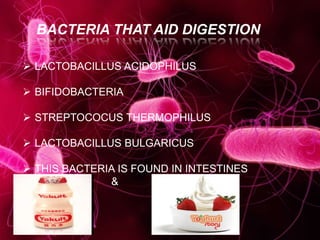 Microorganisms | PPTX