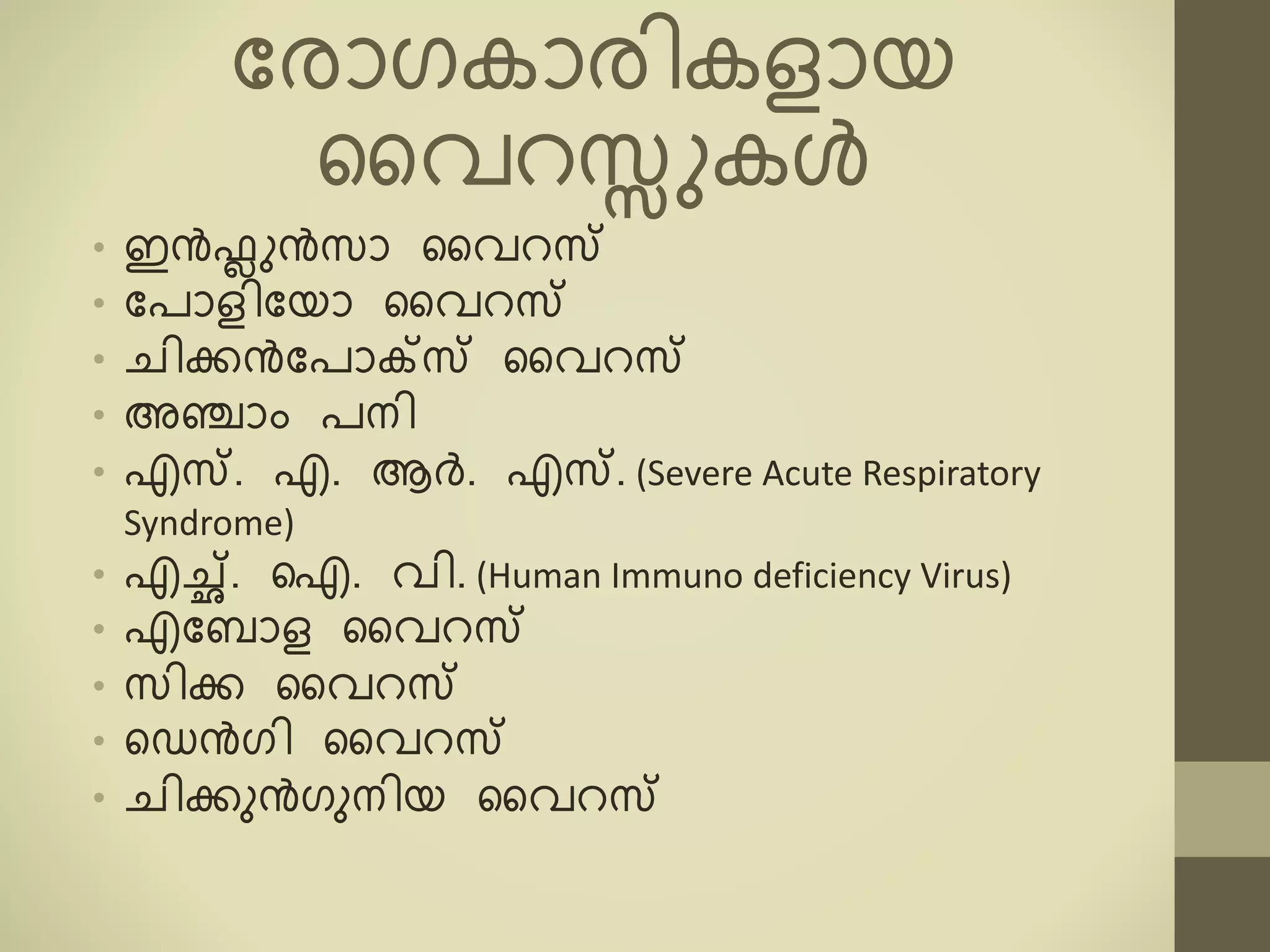 Microorganisms Ppt 4204