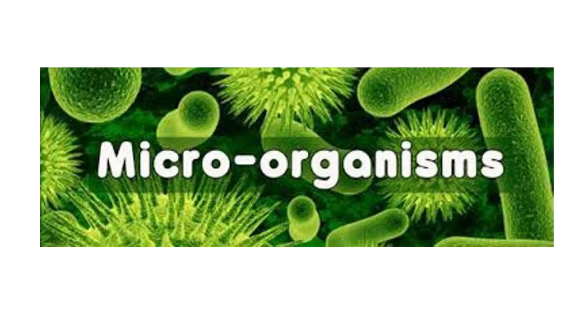 Microorganisms | PPT