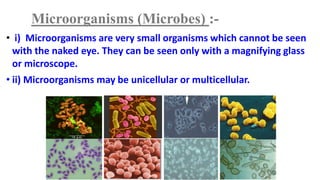 Microorganisms | PPTX | Biological Sciences | Science