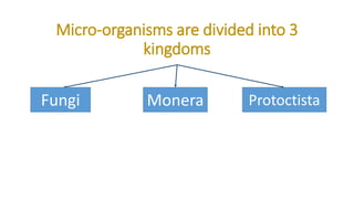 Microorganisms | PPTX