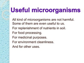 Microorganisms | PPT