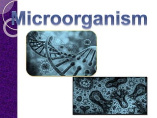 Microorganisms | PPT