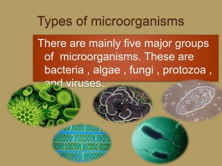 Microorganisms | PPT
