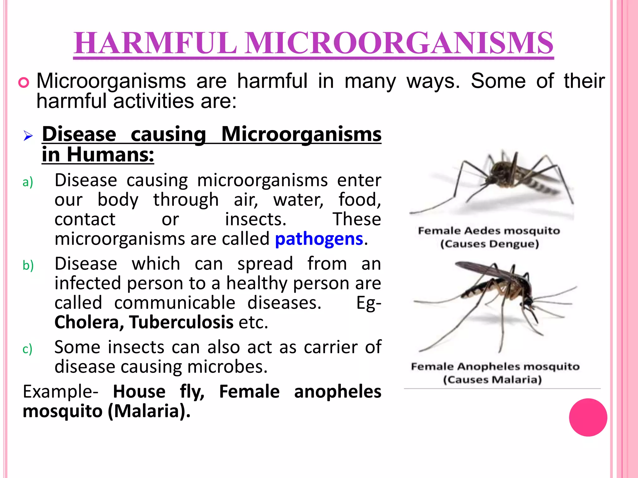 Microorganisms | PPTX