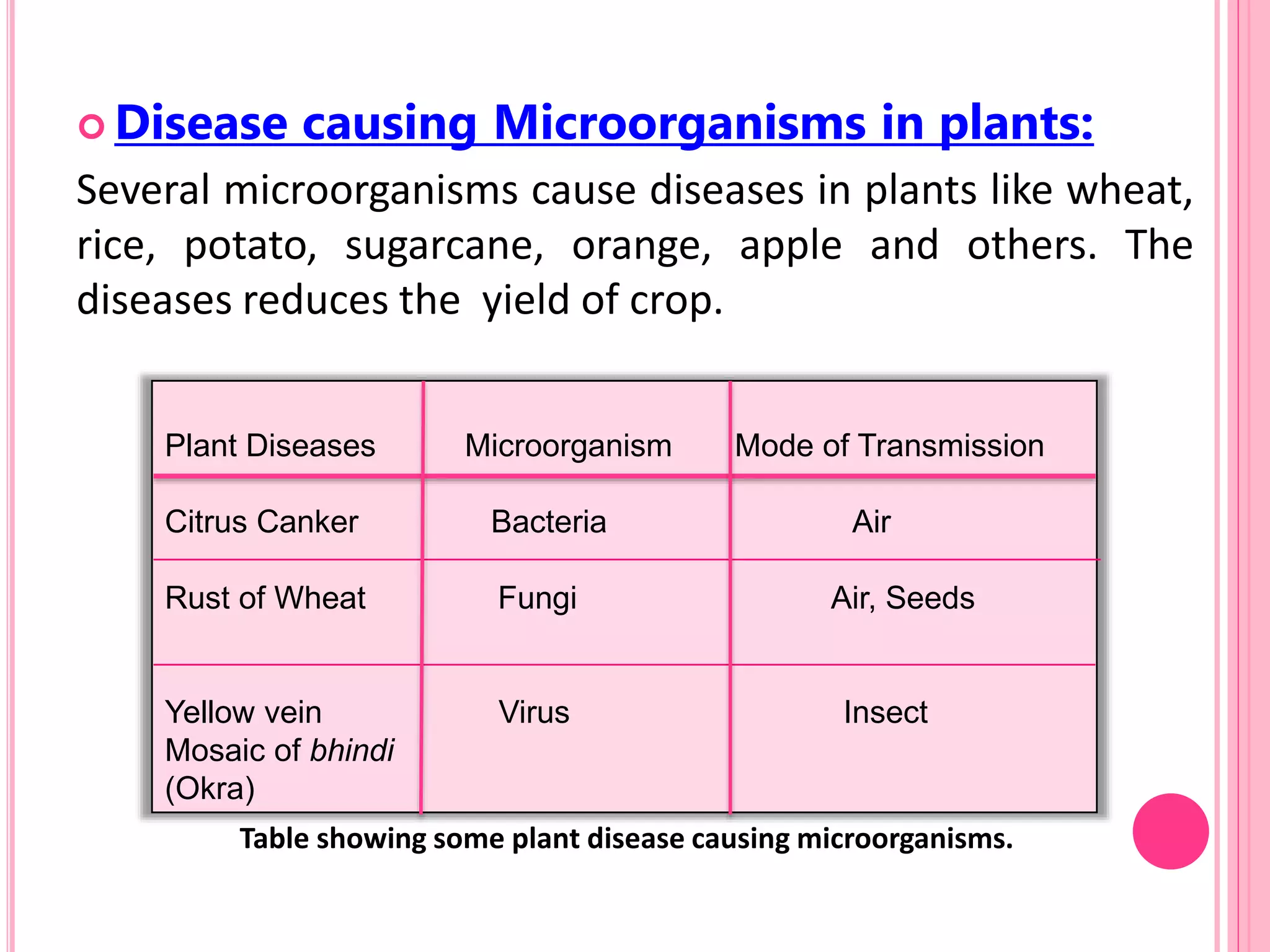 Microorganisms | PPTX