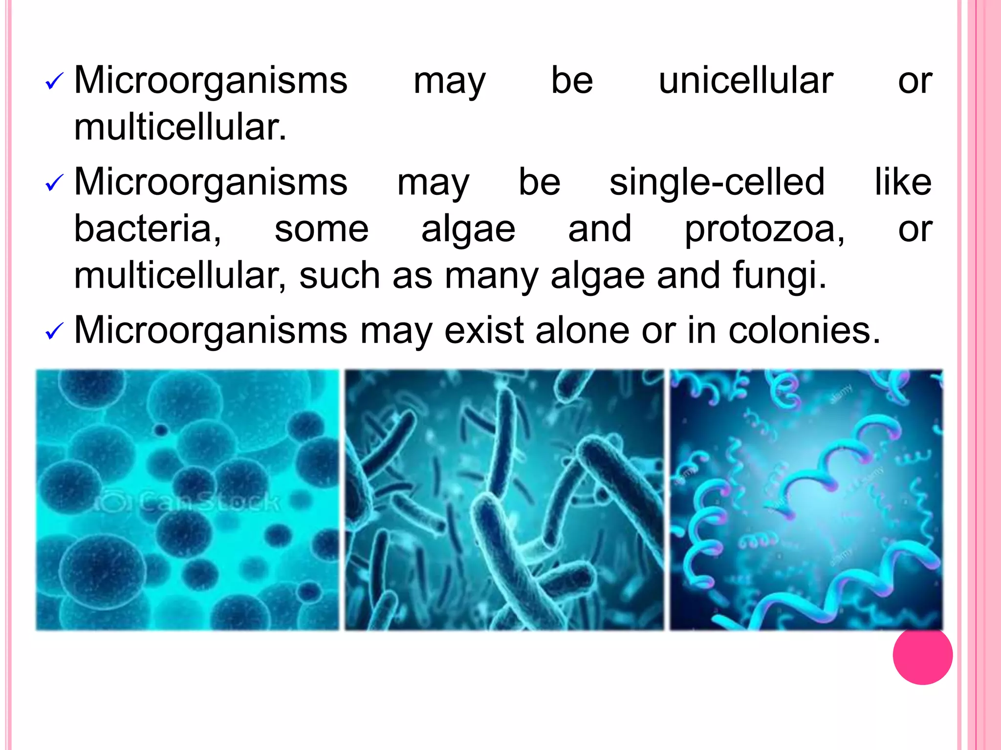 Microorganisms | PPTX