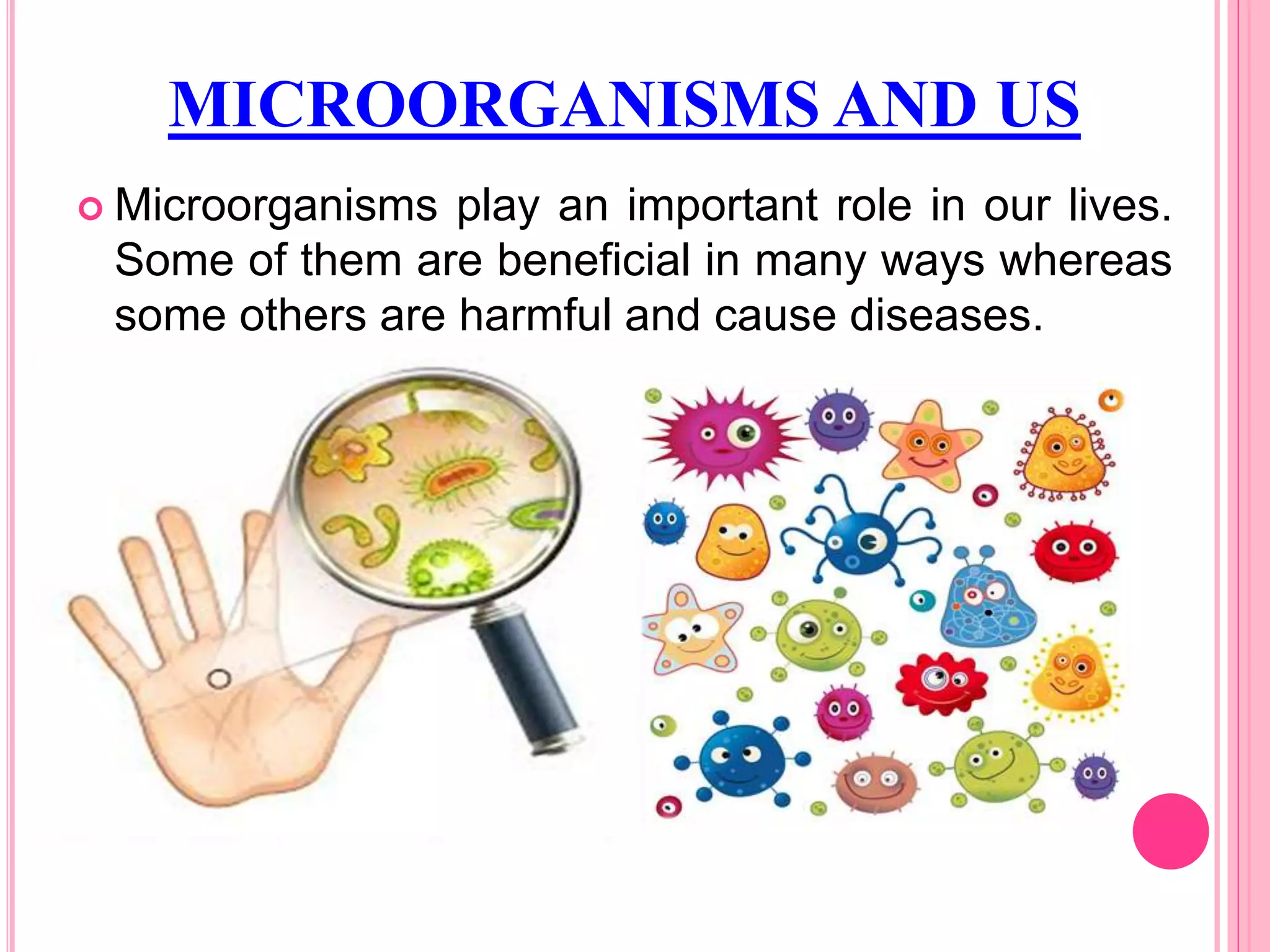 Microorganisms | PPTX