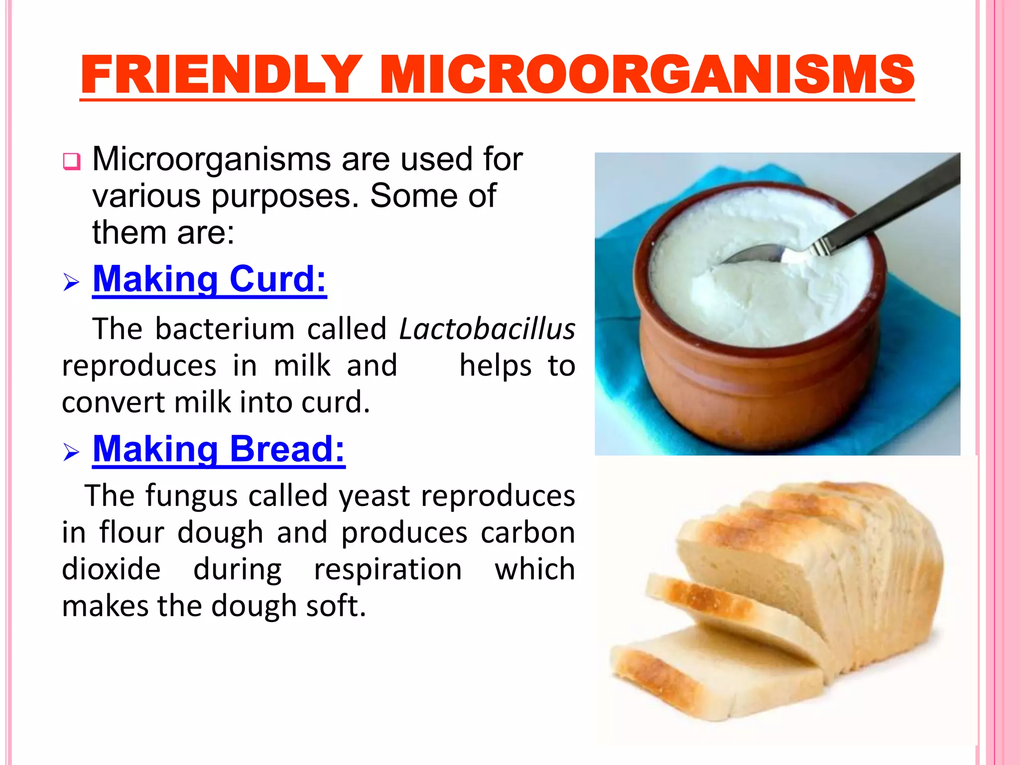 Microorganisms | PPTX | Infectious Diseases | Diseases and Conditions
