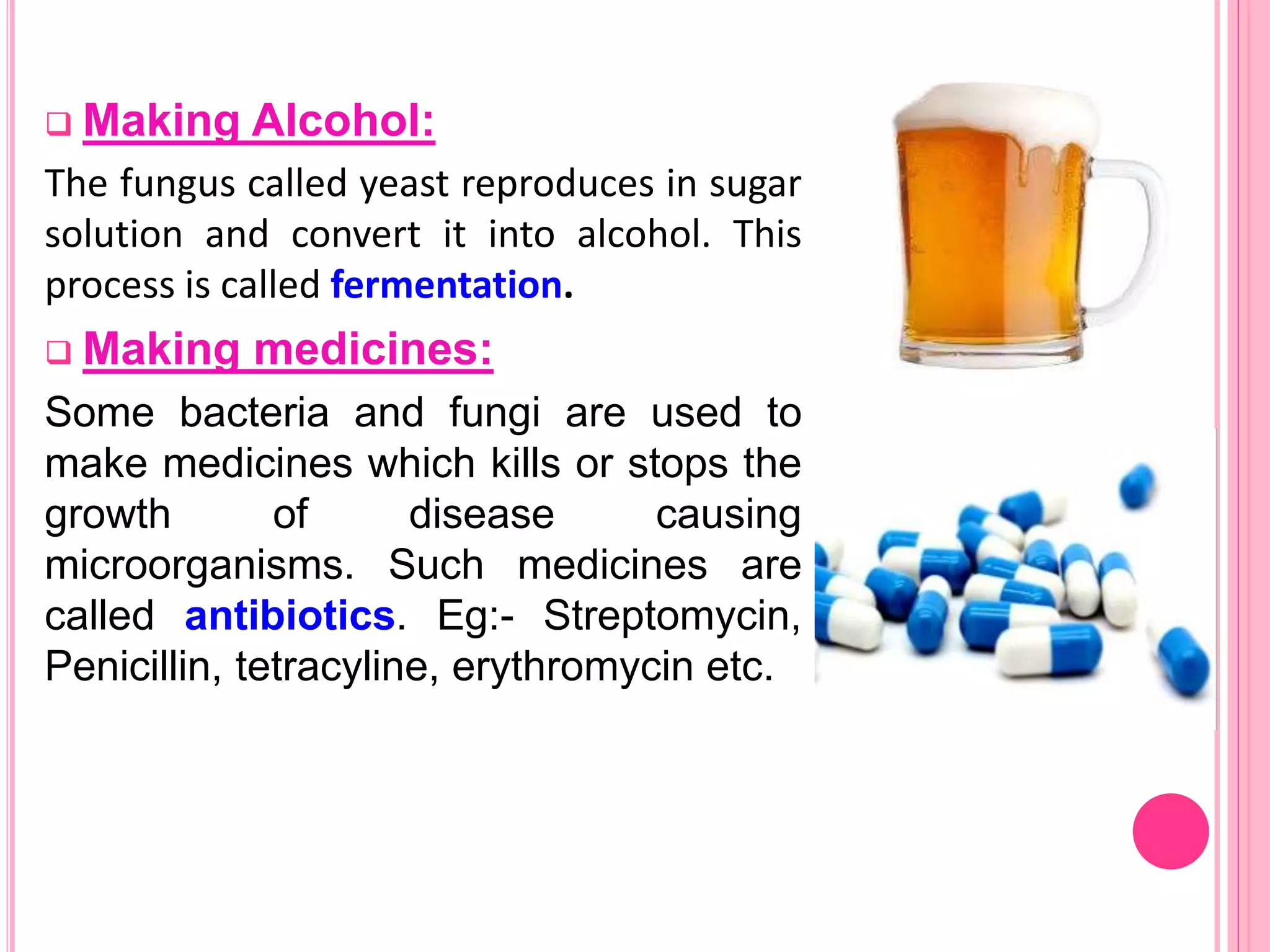 Microorganisms | PPTX