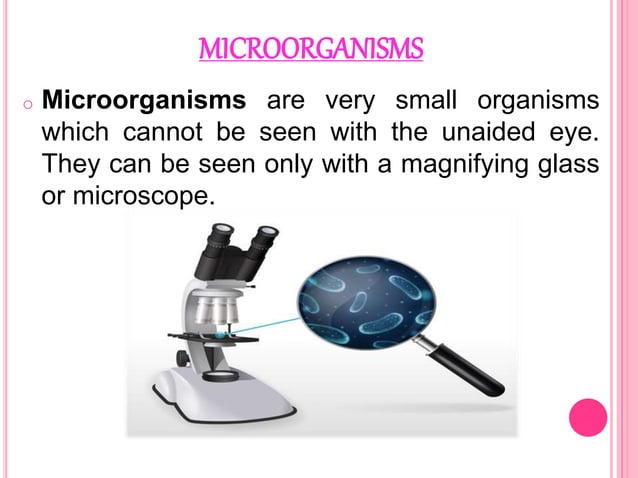 Microorganisms | PPTX | Infectious Diseases | Diseases and Conditions