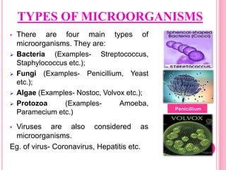 Microorganisms | PPTX