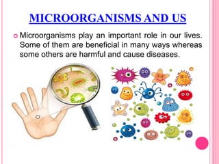 Microorganisms | PPTX