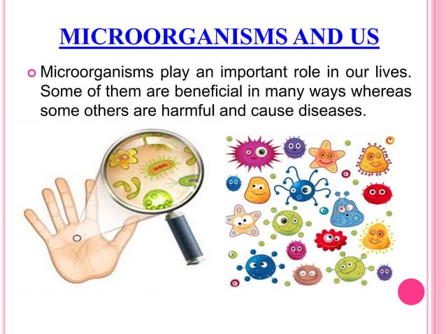 Microorganisms | PPTX | Infectious Diseases | Diseases and Conditions