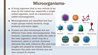 Microorganisms | PPTX