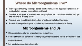 Microorganisms | PPTX