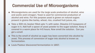 Microorganisms | PPTX