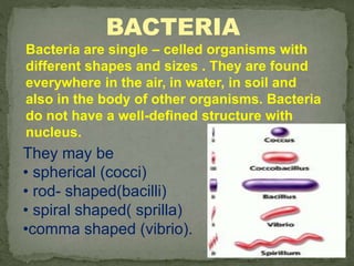 Microorganisms Friend and Foe(Part-1) | PPTX