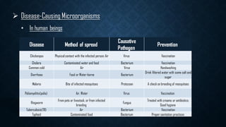 Microorganisms Friend OR foe- made by saksham gupta | PDF