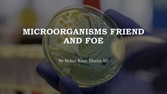 Microorganisms Friend and Foe | PPTX