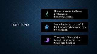 Microorganisms Friend and Foe | PPTX