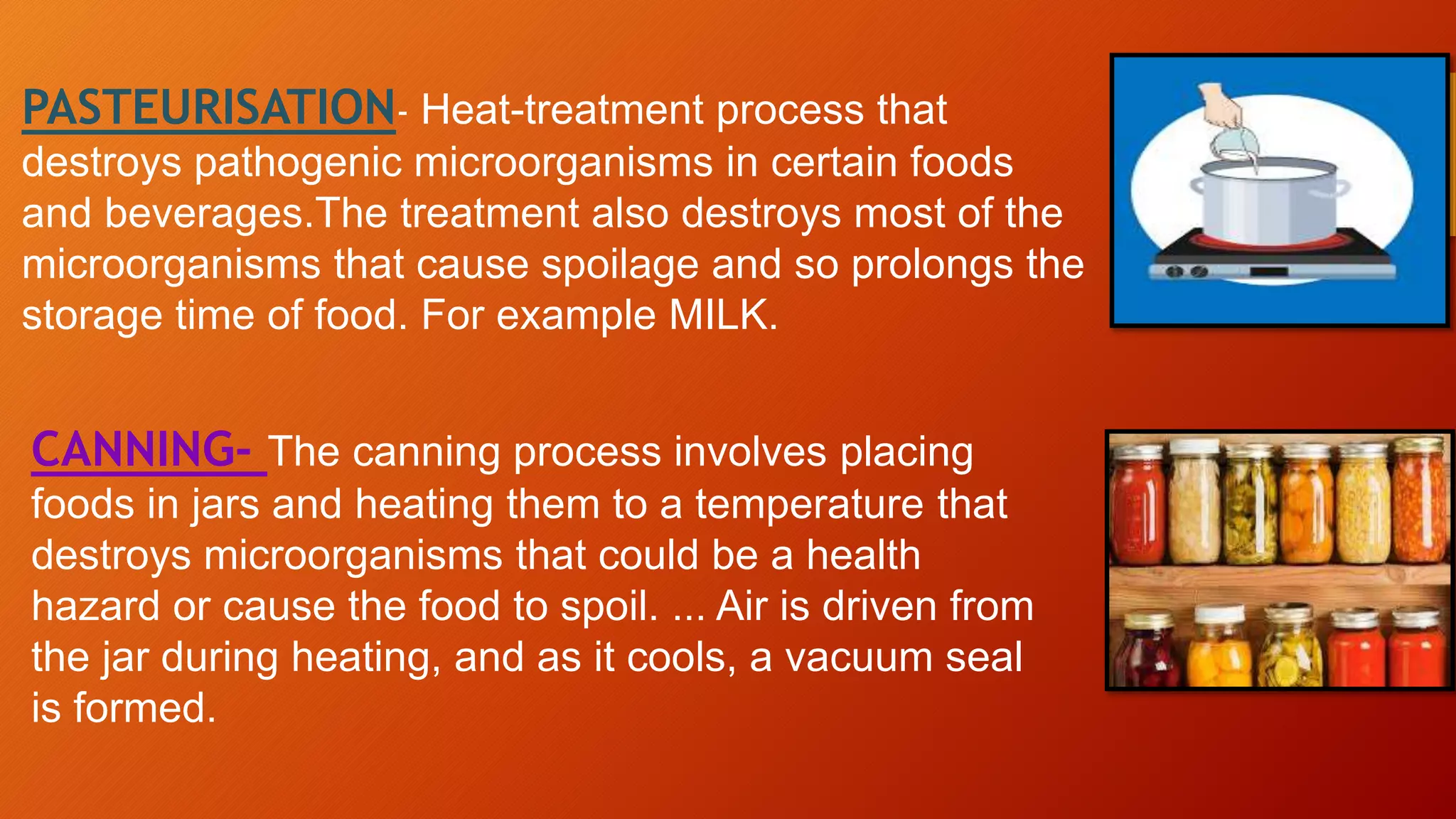 Microorganisms PPT CLASS 8 | PPTX