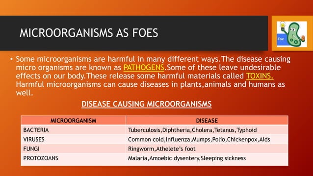Microorganisms PPT CLASS 8 | PPTX | Infectious Diseases | Diseases and ...