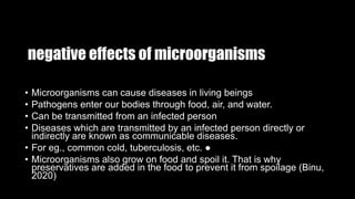 Microorganisms | PPTX