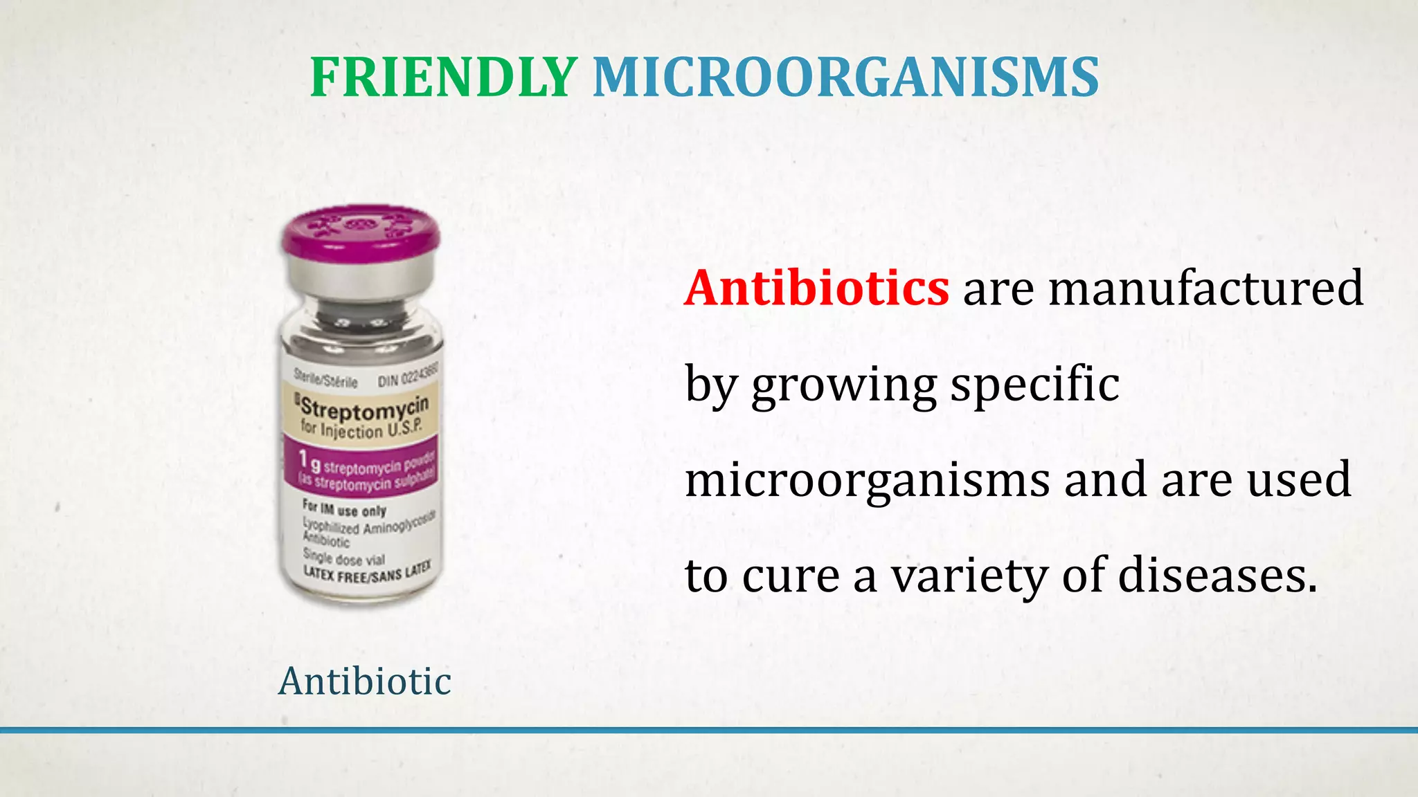 Microorganisms Class 8 | PDF