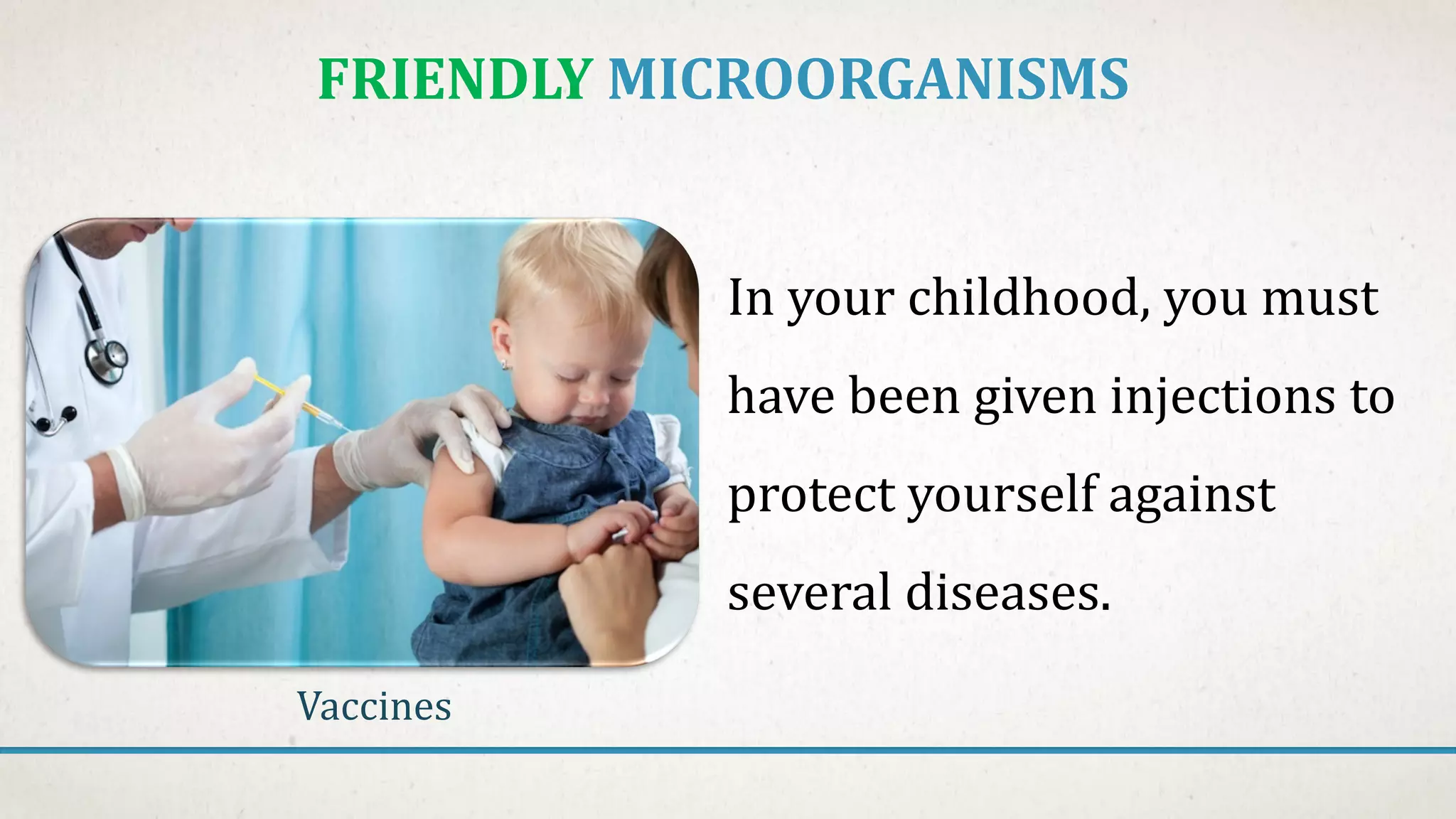 Microorganisms Class 8 | PDF