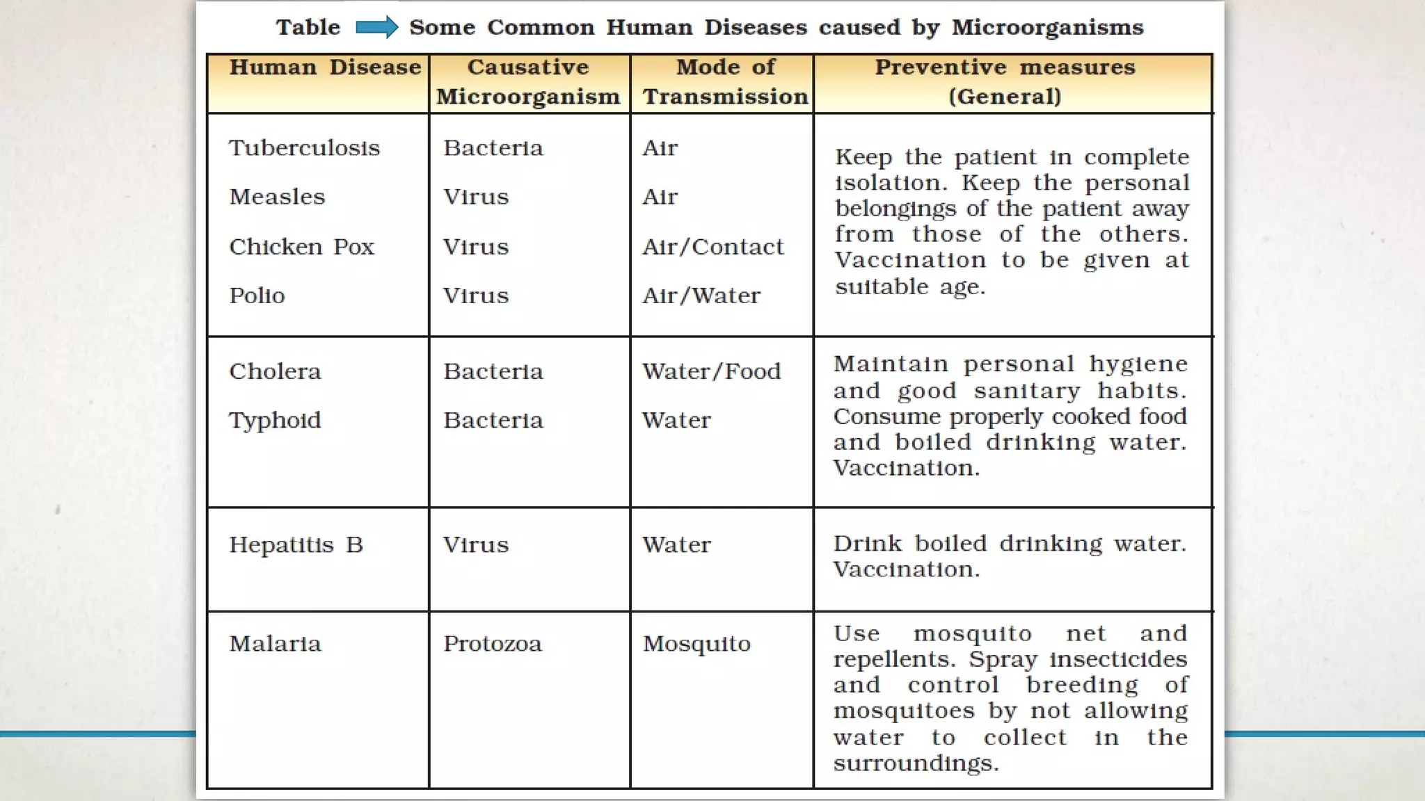 Microorganisms Class 8 | PDF