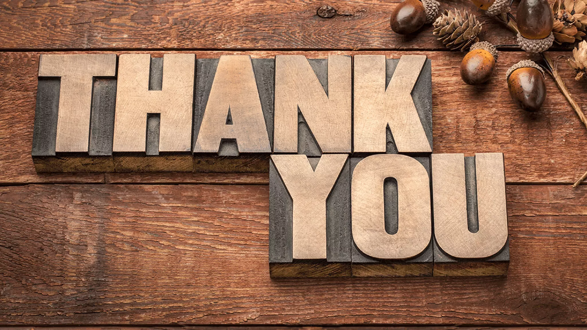 Microorganisms Class 8 | PDF