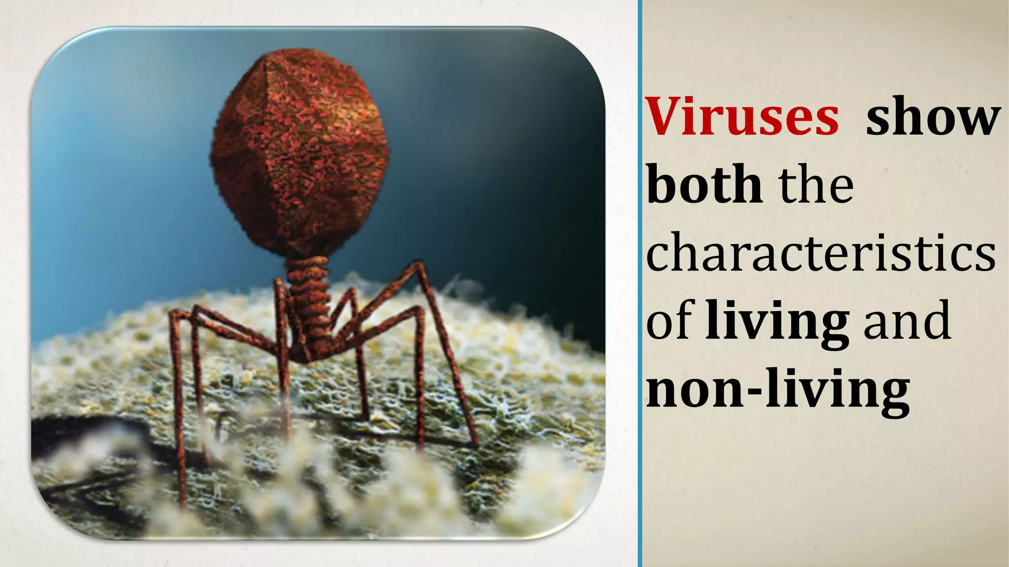 Microorganisms Class 8 | PDF