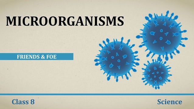 Microorganisms Class 8 | PDF