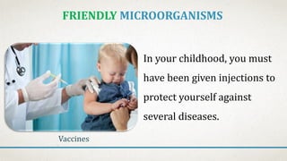 Microorganisms Class 8 | PDF