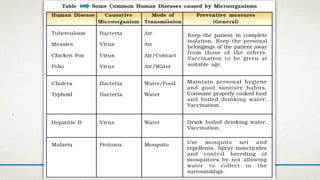 Microorganisms Class 8 | PDF