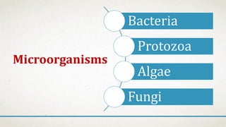 Microorganisms Class 8 | PDF