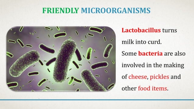 Microorganisms Class 8 | PDF