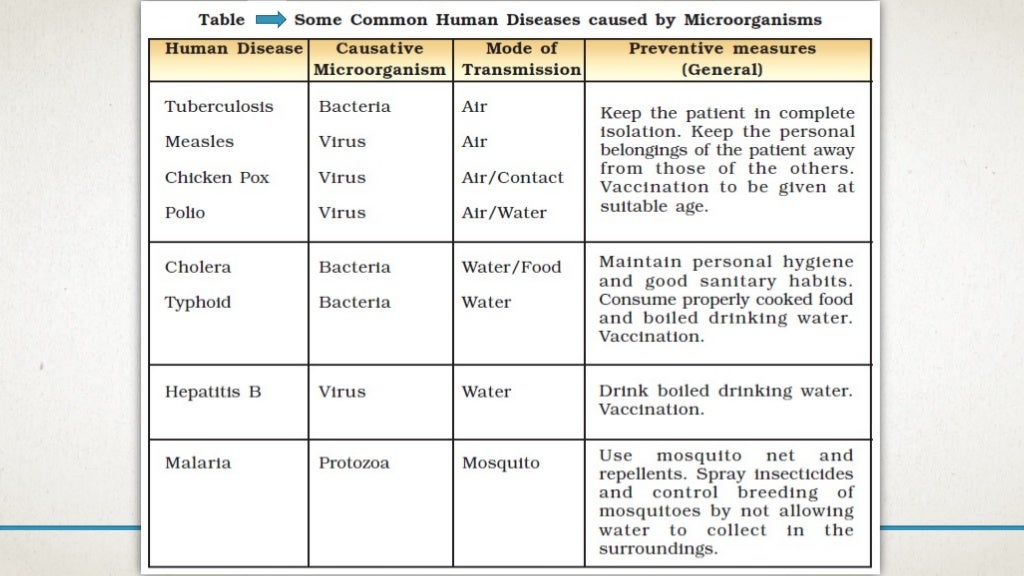 Microorganisms Class 8