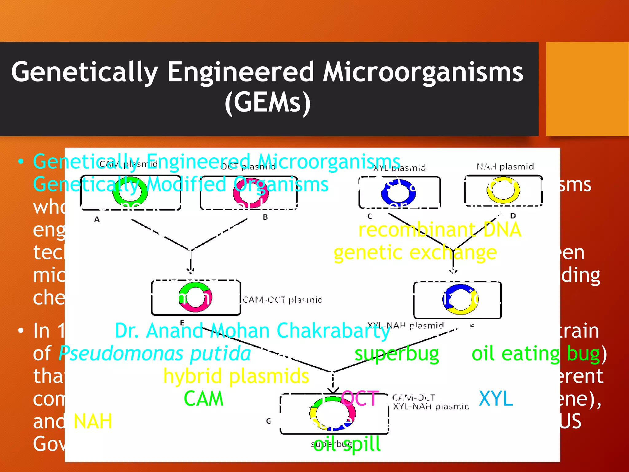 Microorganisms.pptx