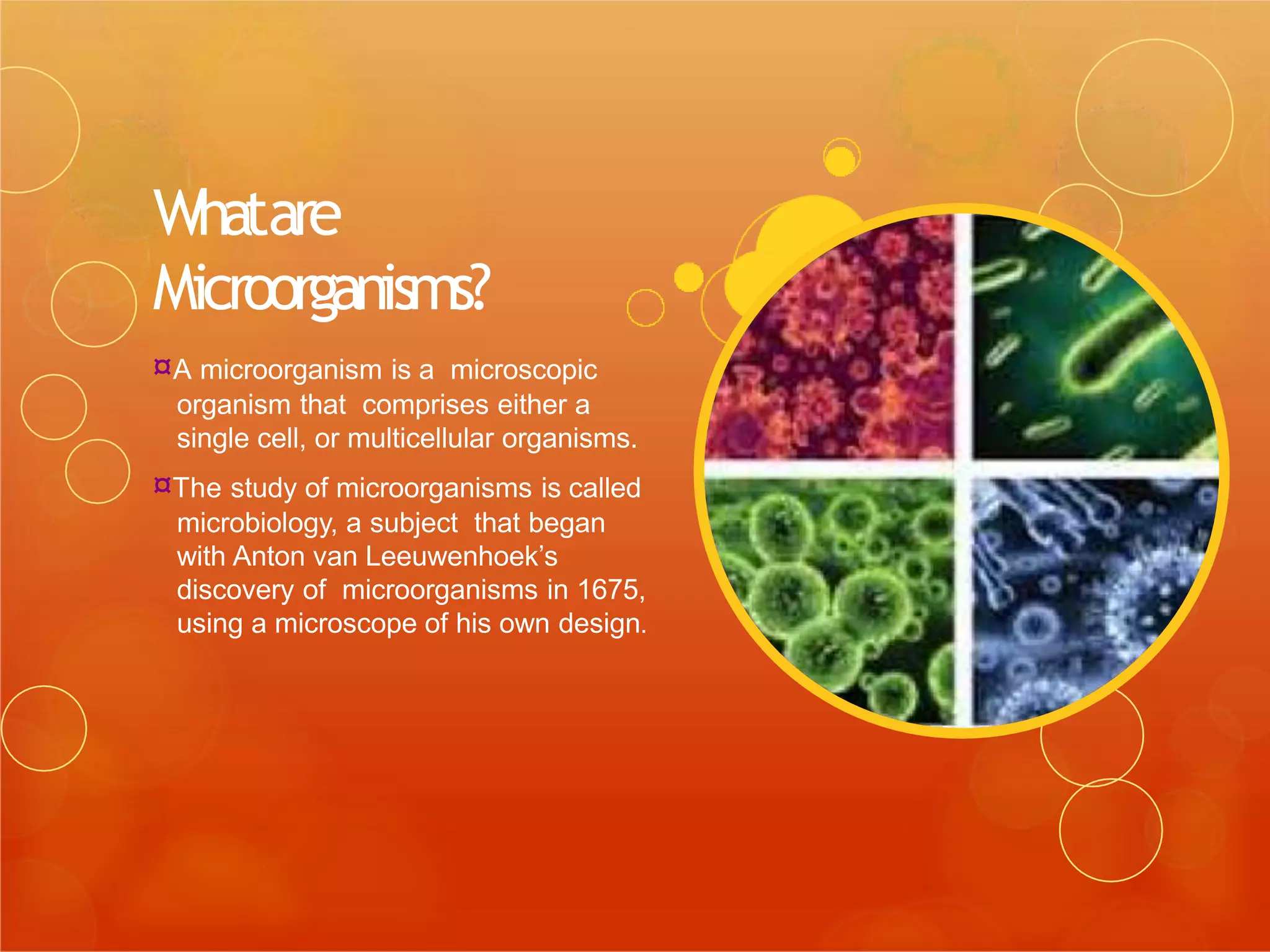Microorganisms.pptx