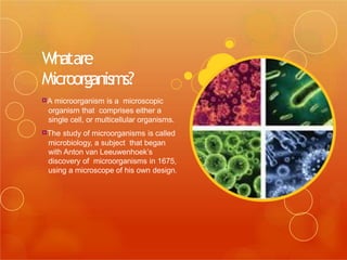 Microorganisms.pptx