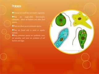 Microorganisms.pptx