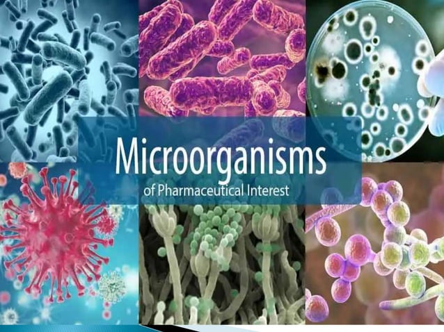 MICRO ORGANISMS.pptx