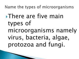 MICRO ORGANISMS.pptx