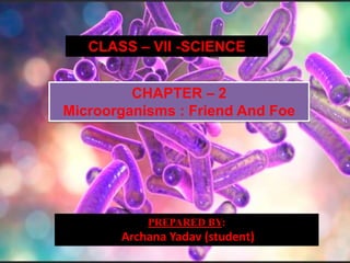 microorganisms.pptx