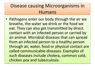 microorganisms.pptx