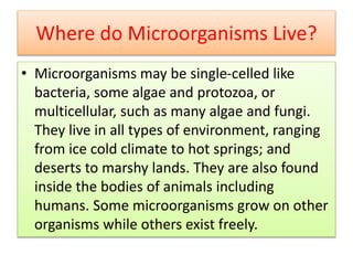 microorganisms.pptx