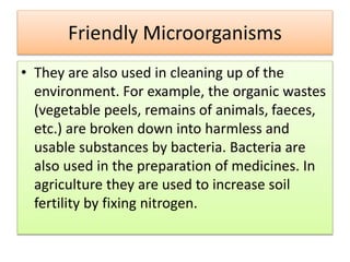 microorganisms.pptx